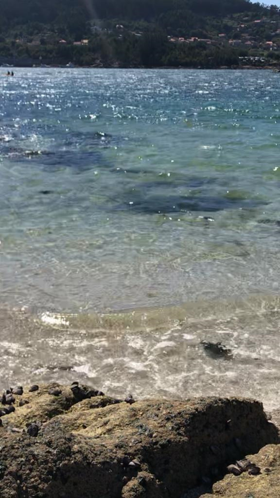 El mar - Revista Digital CBC